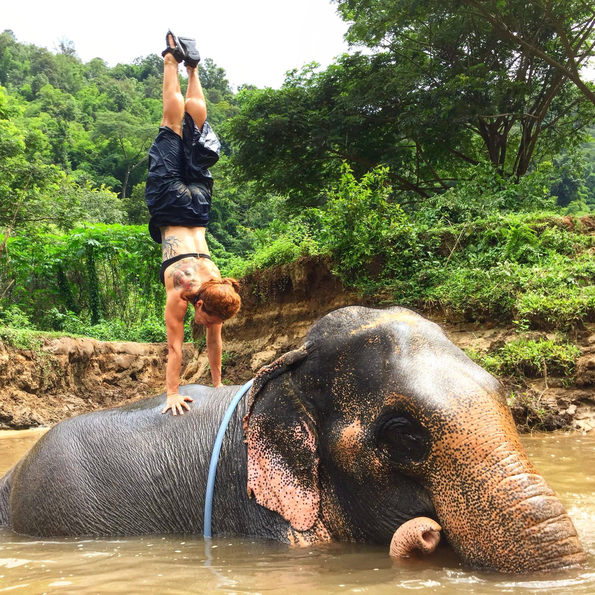 Jeri D'Aurelio | American Ninja Warrior Profile, History & Video ...