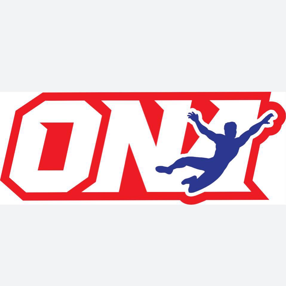 Obstacle Ninja Academy | American Ninja Warrior Gym | Ninja Guide