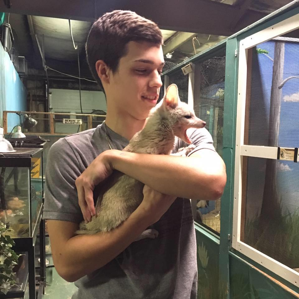 Alex Goodwin | American Ninja Warrior Profile, History & Video ...