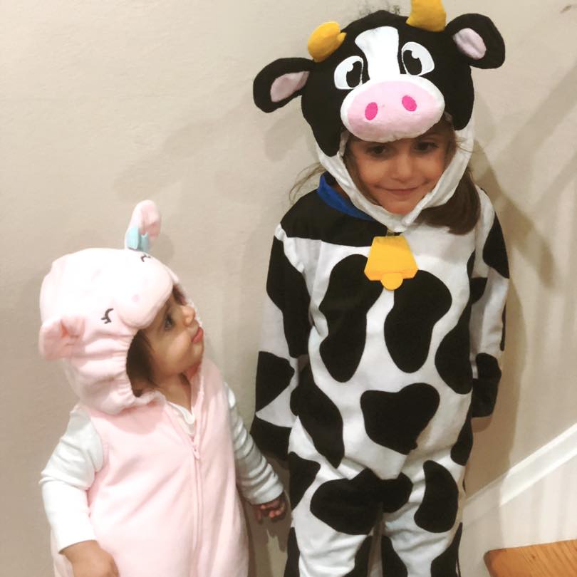 James DiStefano | American Ninja Warrior Profile, History & Video ...