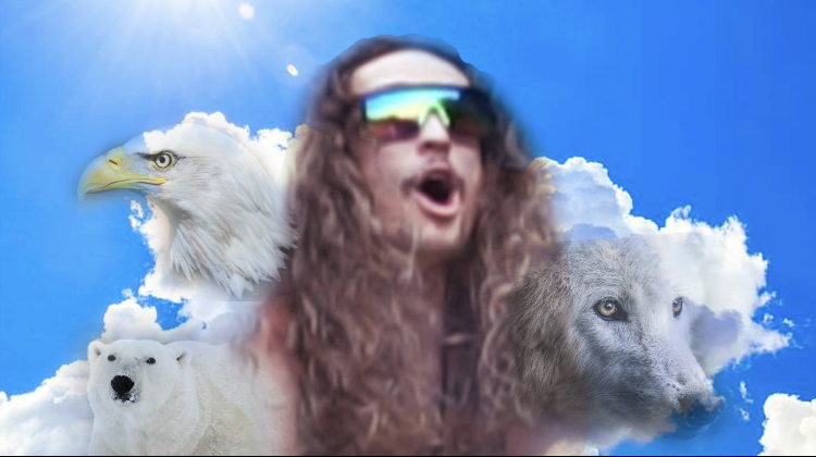 John Roman | American Ninja Warrior Profile, History & Video Highlights ...