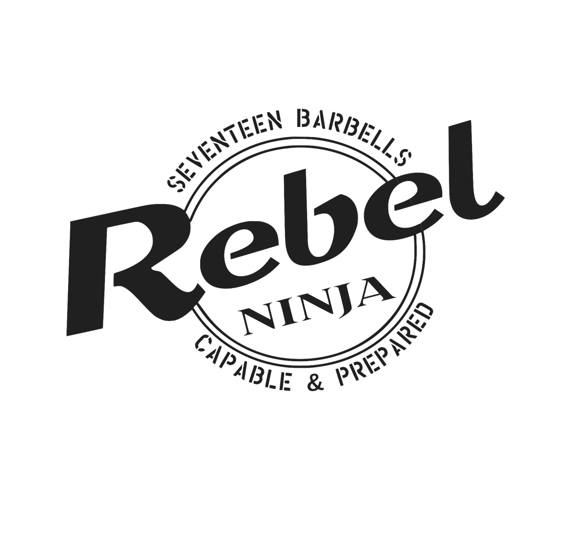 Rebel Ninja | American Ninja Warrior Gym | Ninja Guide